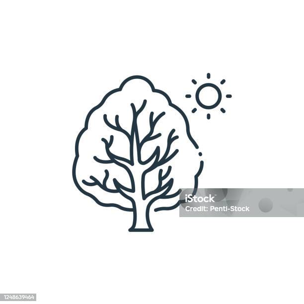 Icône Vectorielle De Larbre Trait Modifiable Darbre Symbole Linéaire
