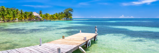 Belize Pictures | Download Free Images on Unsplash