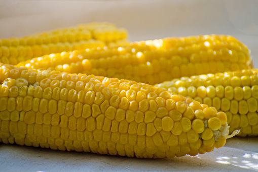 Jagung Kuning Segar Deretan Tongkol Jagung Segar Rebus Yang Lezat Untuk ... Jagung Kuning Segar Deretan Tongkol Jagung Segar Rebus Yang Lezat Untuk ...