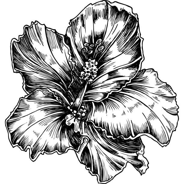 50 Flowe Icon Illustrations Royalty Free Vector Graphics And Clip Art Istock