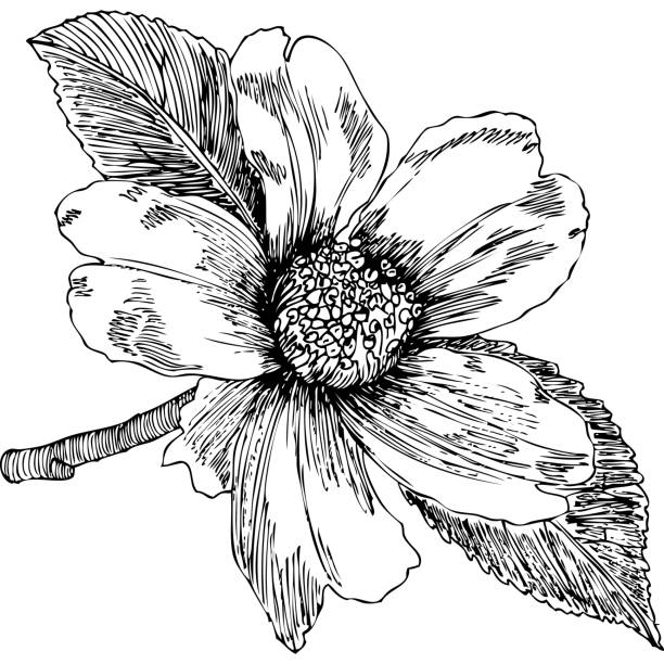Flowe Icon Illustrations Royalty Free Vector Graphics And Clip Art Istock