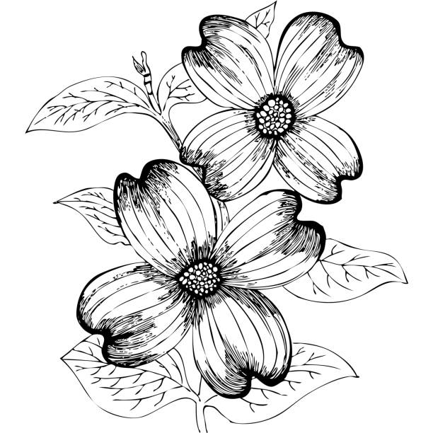 Flowe Vectors Illustrations Royalty Free Vector Graphics And Clip Art Istock