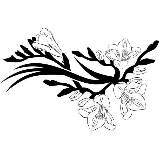 50 Flowe Icon Illustrations Royalty Free Vector Graphics And Clip Art Istock
