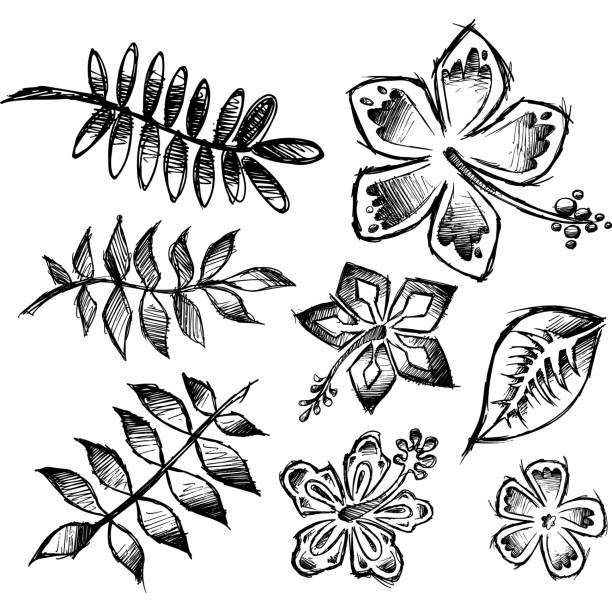 Flowe Vectors Illustrations Royalty Free Vector Graphics And Clip Art Istock
