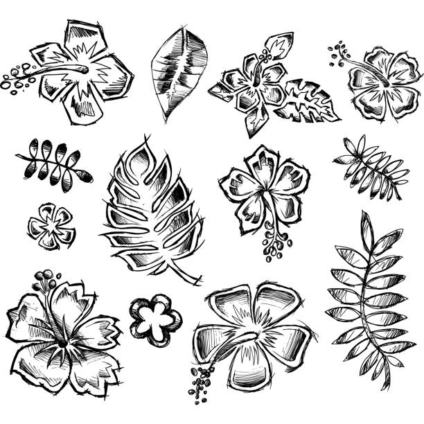 50 Flowe Icon Illustrations Royalty Free Vector Graphics And Clip Art Istock