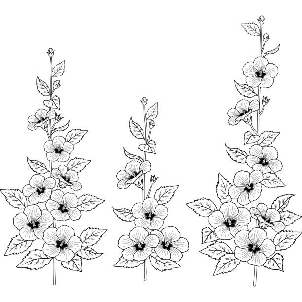 Flowe Icon Illustrations Royalty Free Vector Graphics And Clip Art Istock