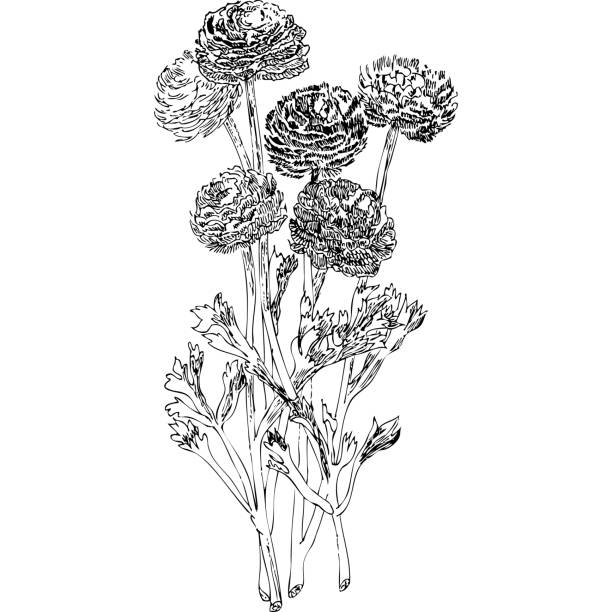 Flowe Vectors Illustrations Royalty Free Vector Graphics And Clip Art