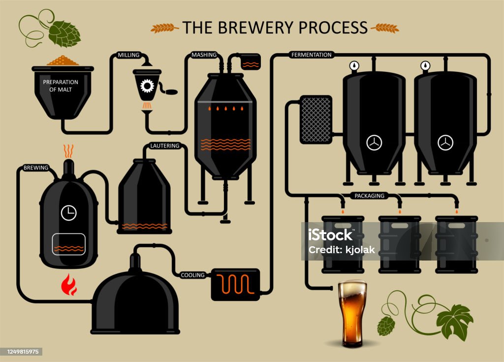 Diagramme Du Processus De Brassage De La Bière Illustration Détaillée Vecteurs Libres De Droits