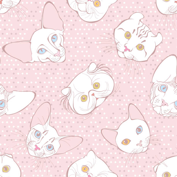 Percikan Cat Vector Clipart