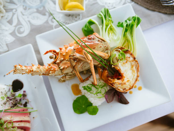 Plated Food Pictures | Download Free Images on Unsplash