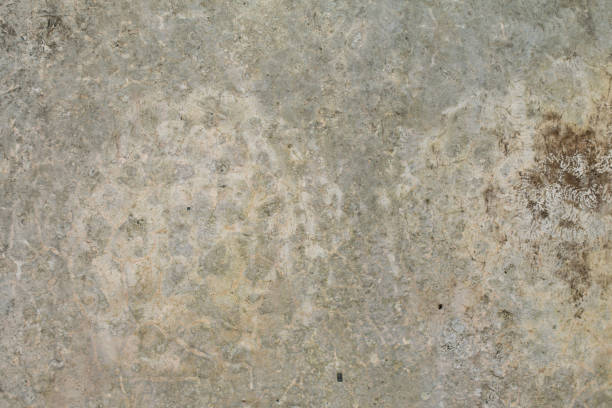 Concreto Pictures | Download Free Images on Unsplash