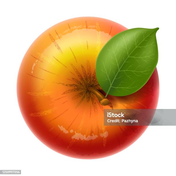 Apel Merah Lezat Buah Matang Dan Berair Dengan Daun Pemandangan Dari
