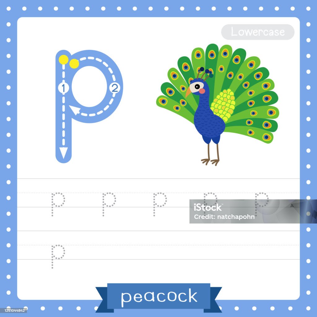 Letter P Lowercase Tracing Practice Worksheet Of Peacock Stock