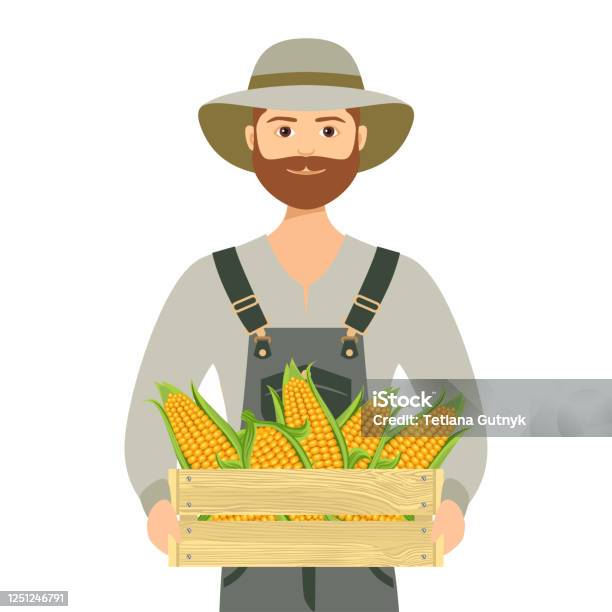 Petani Memegang Kotak Kayu Dengan Jagung Kuning Matang Pertanian Eko ... Petani Memegang Kotak Kayu Dengan Jagung Kuning Matang Pertanian Eko ...
