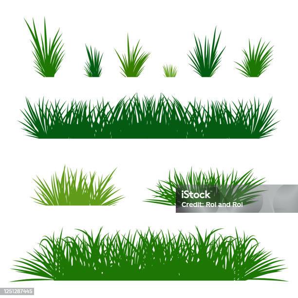 Dessin Animé De Frontière Vert Dherbe Placé Isolé Sur Le Fond Blanc