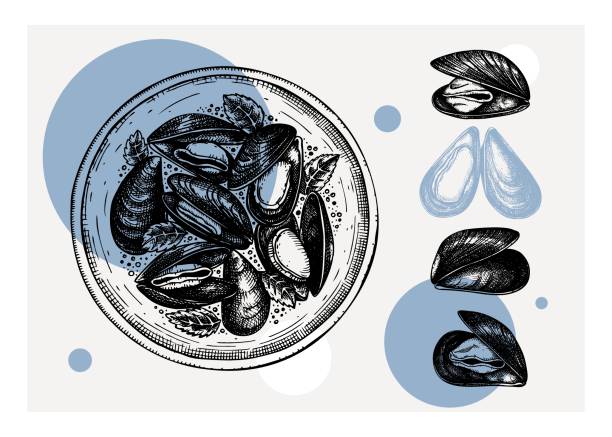 230 Mussels Farm Illustrations Royalty Free Vector Graphics And Clip