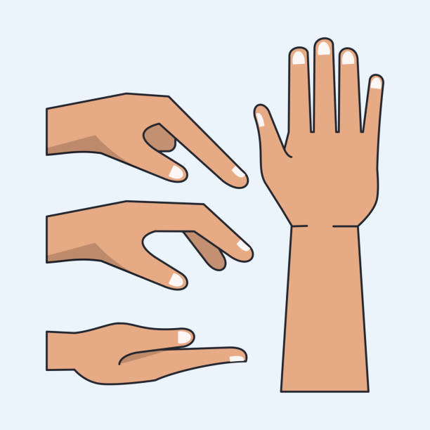 120 How To Remove Gloves Safely Stock Illustrations Royalty Free