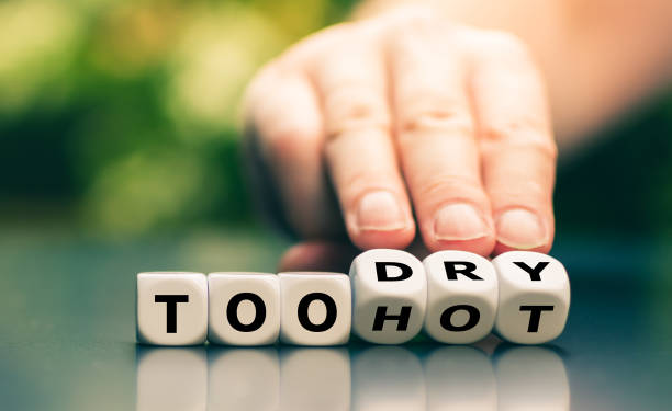 Too Hot Pictures | Download Free Images on Unsplash