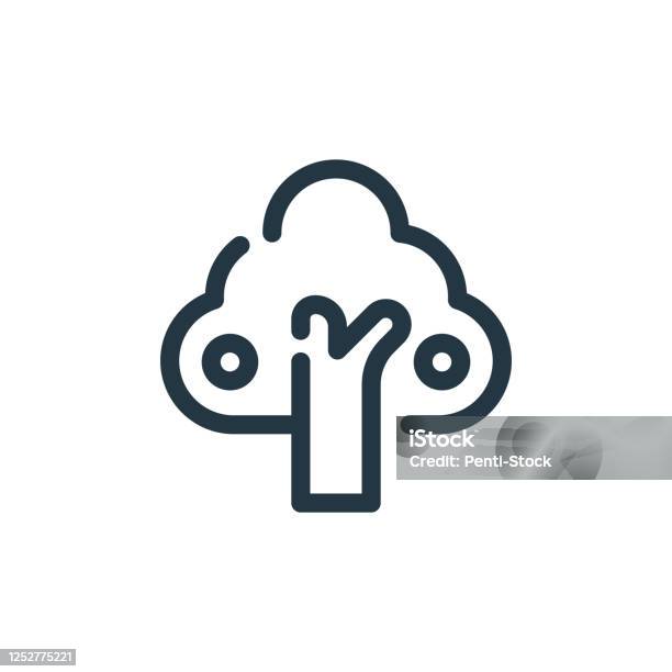 Icône Vectorielle De Larbre Trait Modifiable Darbre Symbole Linéaire