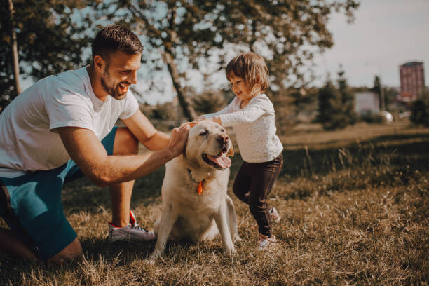 Pet Family Pictures | Download Free Images on Unsplash