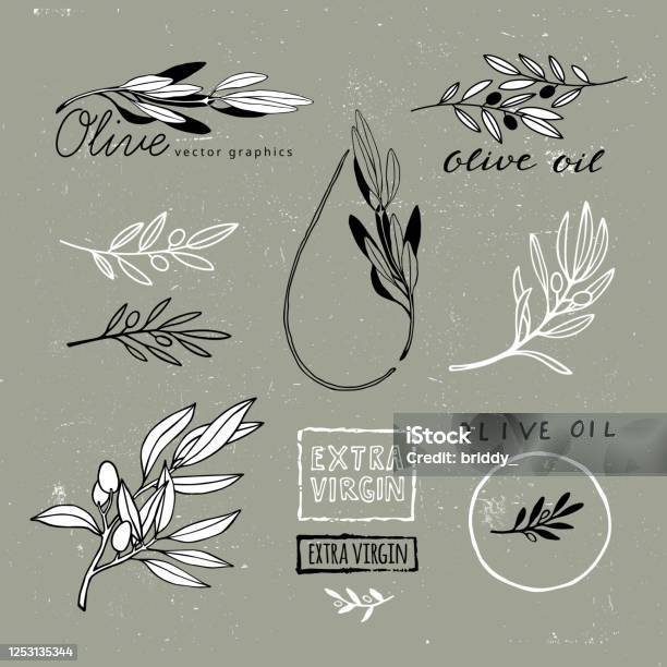 Ensemble De Branches Dolive Dessinées À La Main Formes De Plantes