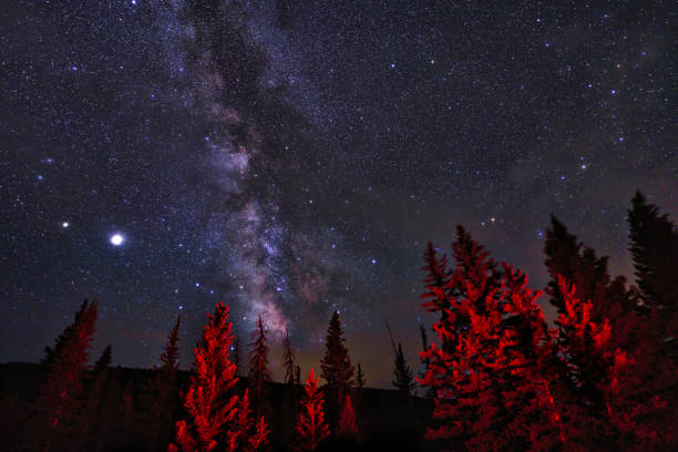 Free Stock Photo of Red Tinted Night Road among Trees | Download Free ...
