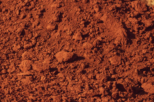 Red Soil Pictures | Download Free Images on Unsplash