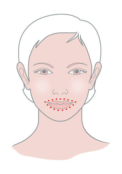 590 Acupressure Back Stock Illustrations Royalty Free Vector Graphics