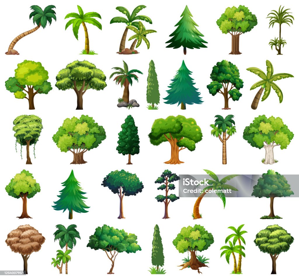 Ensemble De Plantes Et Darbres De Variété Vecteurs Libres De Droits Et