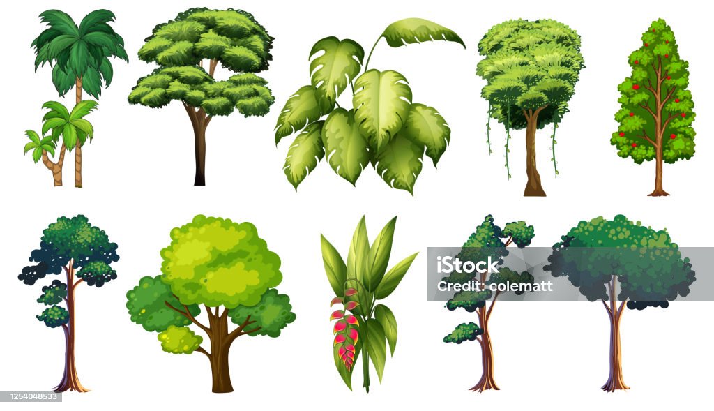 Ensemble De Plantes Et Darbres De Variété Vecteurs Libres De Droits Et