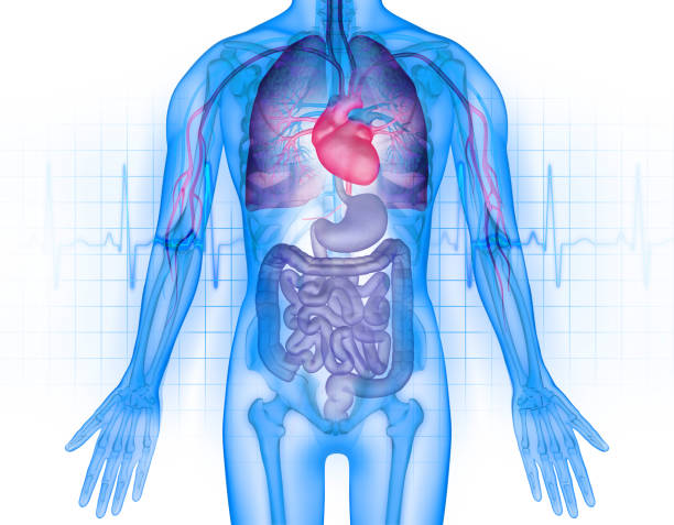 Internal Medicine Pictures | Download Free Images on Unsplash