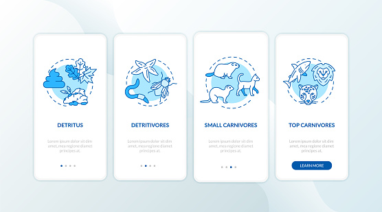 Detritus Food Chain Onboarding Mobile App Page Screen With Concepts ... Detritus Food Chain Onboarding Mobile App Page Screen With Concepts ...