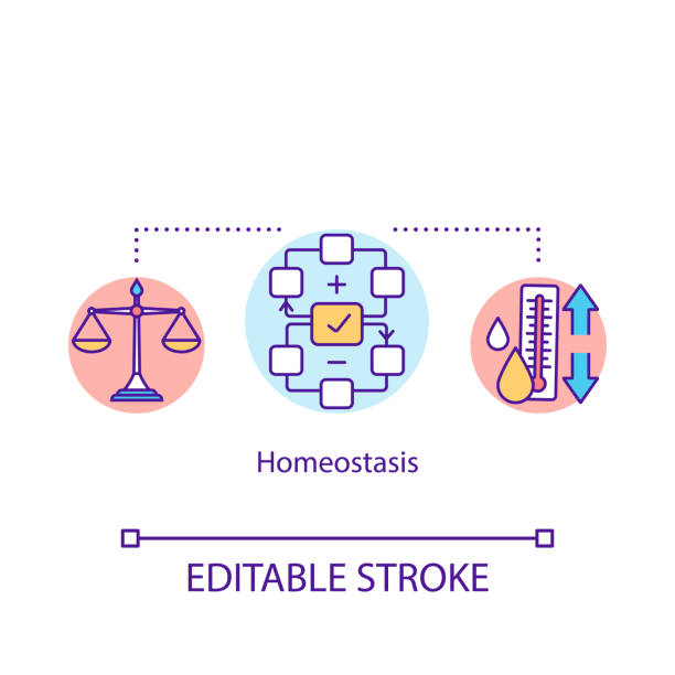 [90] Homeostasis Clipart Vector PNG , SVG, EPS, PSD, AI