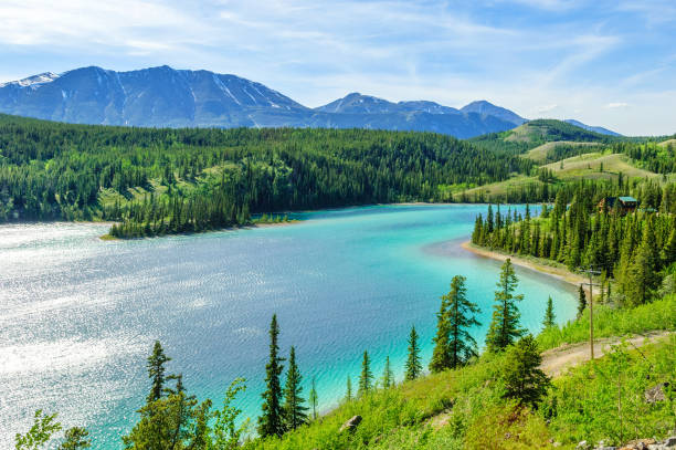Yukon Pictures | Download Free Images on Unsplash