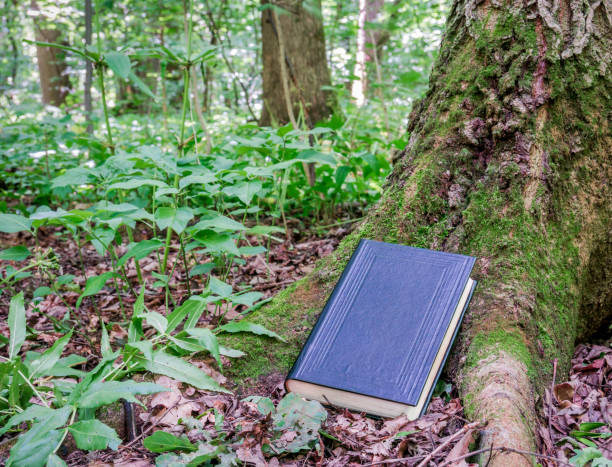 Free Stock Photo of Open Book on Tree Stump | Download Free Images and ...