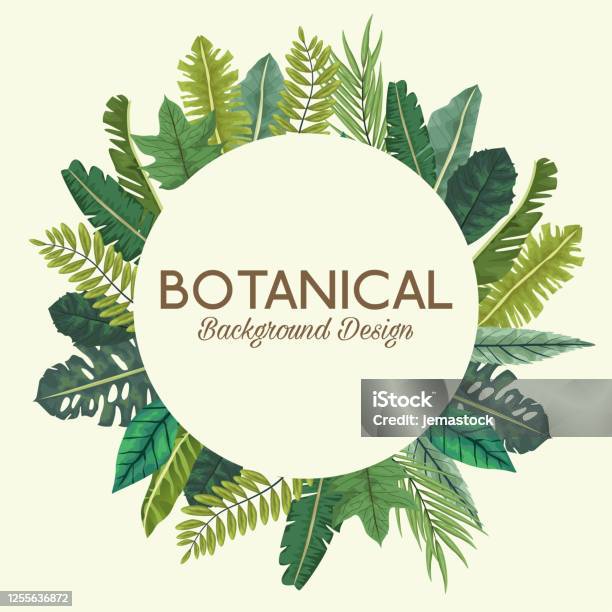 Daun Tropis Dalam Bingkai Melingkar Dan Desain Latar Belakang Botani ... Daun Tropis Dalam Bingkai Melingkar Dan Desain Latar Belakang Botani ...