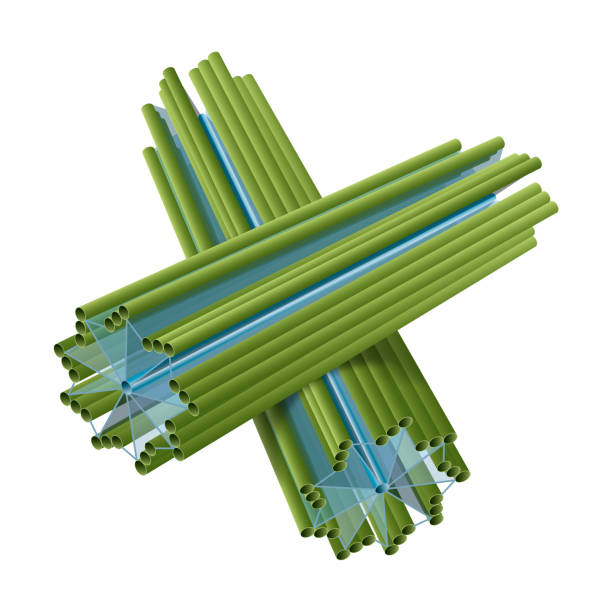 230 Centrioles Stock Illustrations Royalty Free Vector Graphics And Clip Art Istock