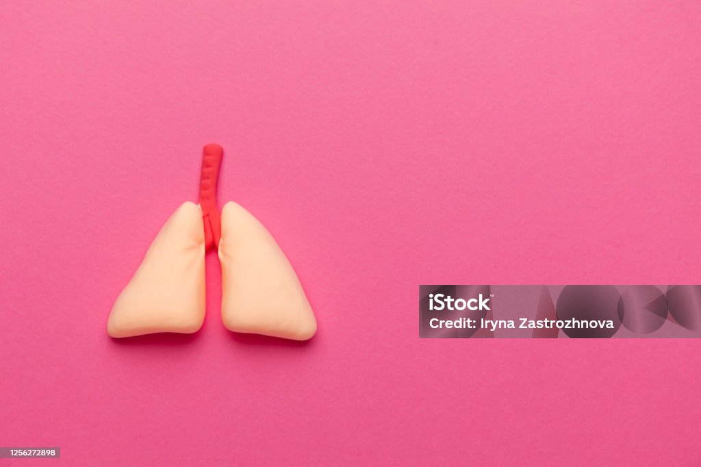 Pengobatan Dan Pencegahan Paruparu Penyakit Pernapasan Pneumonia Virus