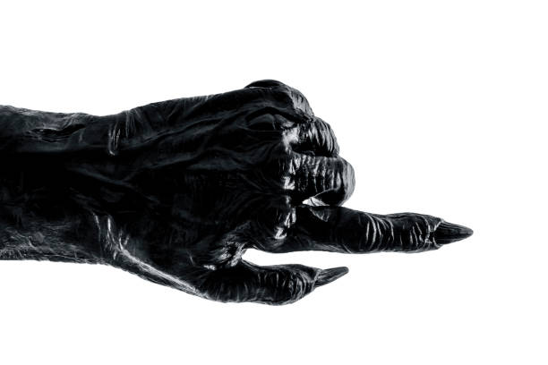 Horror Hand Pictures | Download Free Images on Unsplash