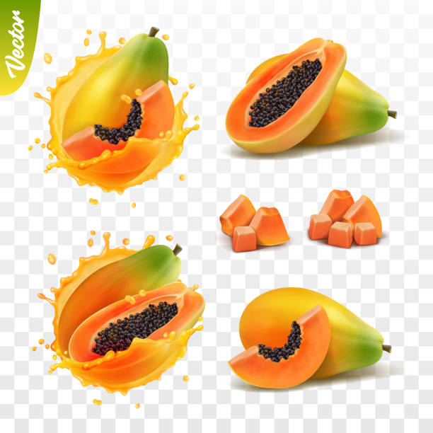 Pepaya Ilustrasi, Grafik Vektor & Clip Art Bebas Royalti - iStock Pepaya Ilustrasi, Grafik Vektor & Clip Art Bebas Royalti - iStock