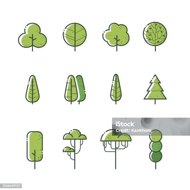 Illustration Vectorielle De Différents Types Densemble Dicônes Darbre