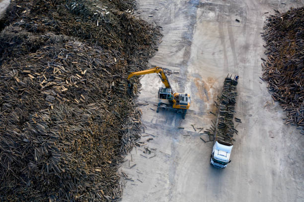 Free picture: Large pile of cut trees, an industrial depo
