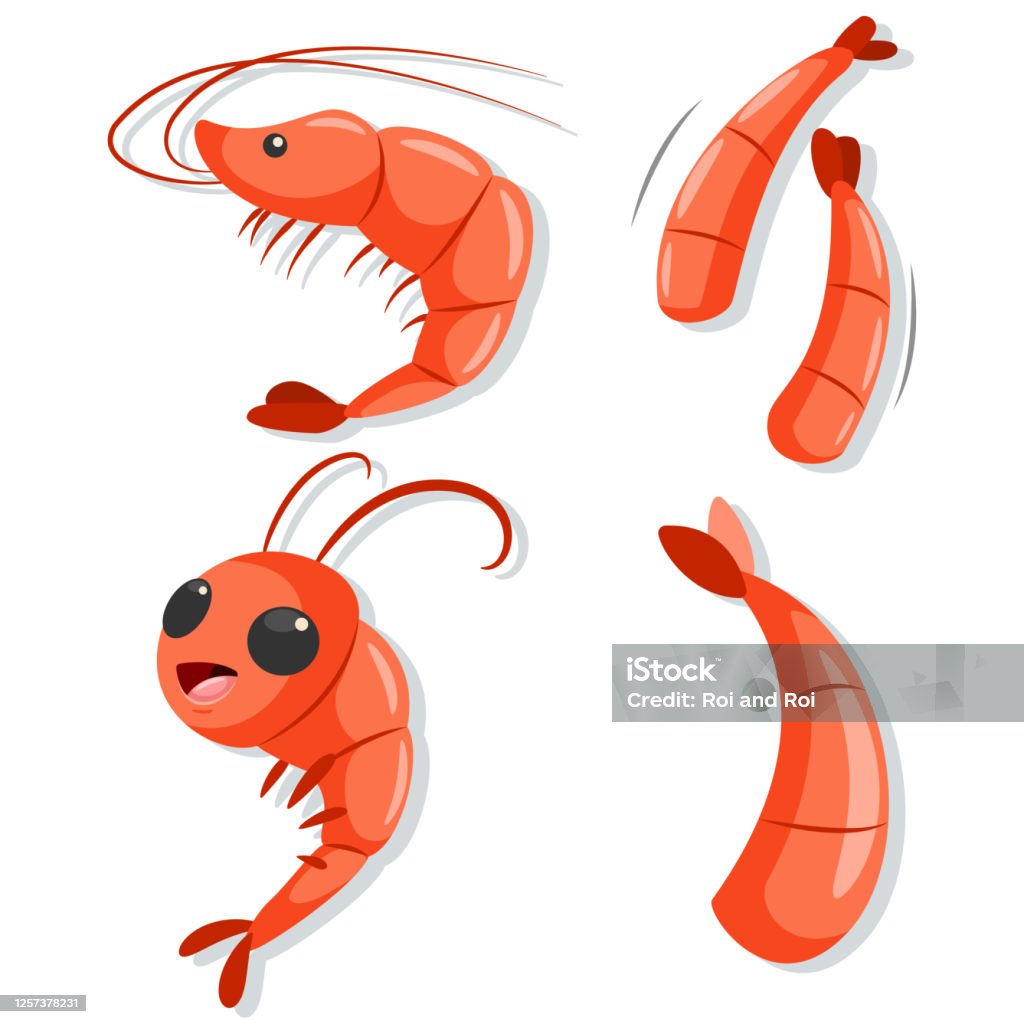 Ensemble De Crevettes Caractère De Crevette De Dessin Animé Vectoriel