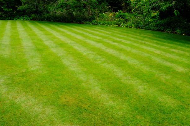 English Garden Pictures | Download Free Images on Unsplash