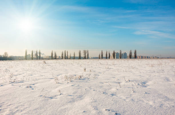 Snow Field Pictures | Download Free Images on Unsplash