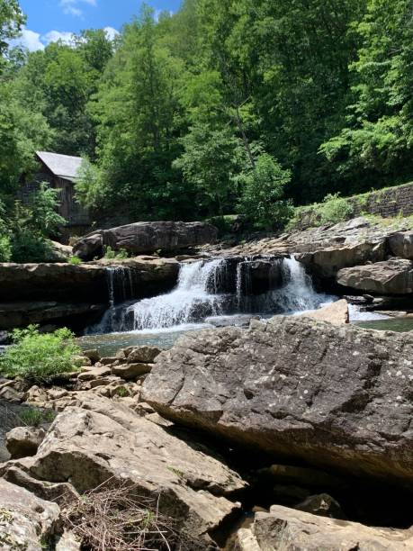Trickling Stream – Free Nature Stock