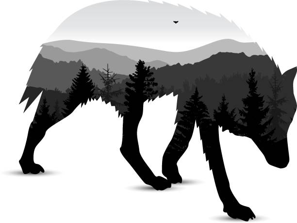 Free Wolf Running Vector Art - Download 906+ Wolf Running Icons ...