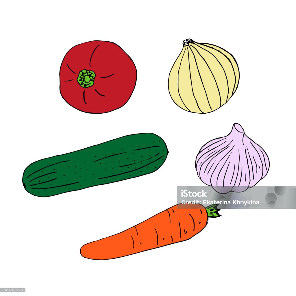 Set Of Vegetables Vector Illustration Stock Illustration Download
