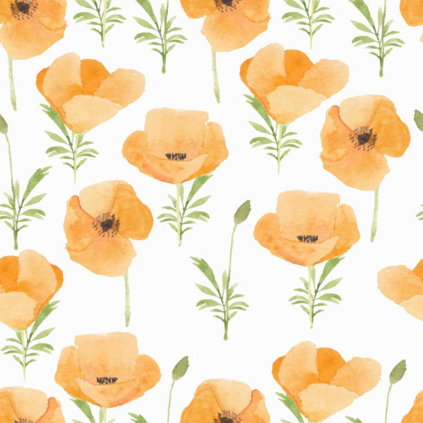 60 Bunga Poppy Ilustrasi Foto Stok Potret And Gambar Bebas Royalti