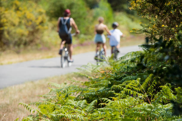 Bike Path Pictures | Download Free Images on Unsplash